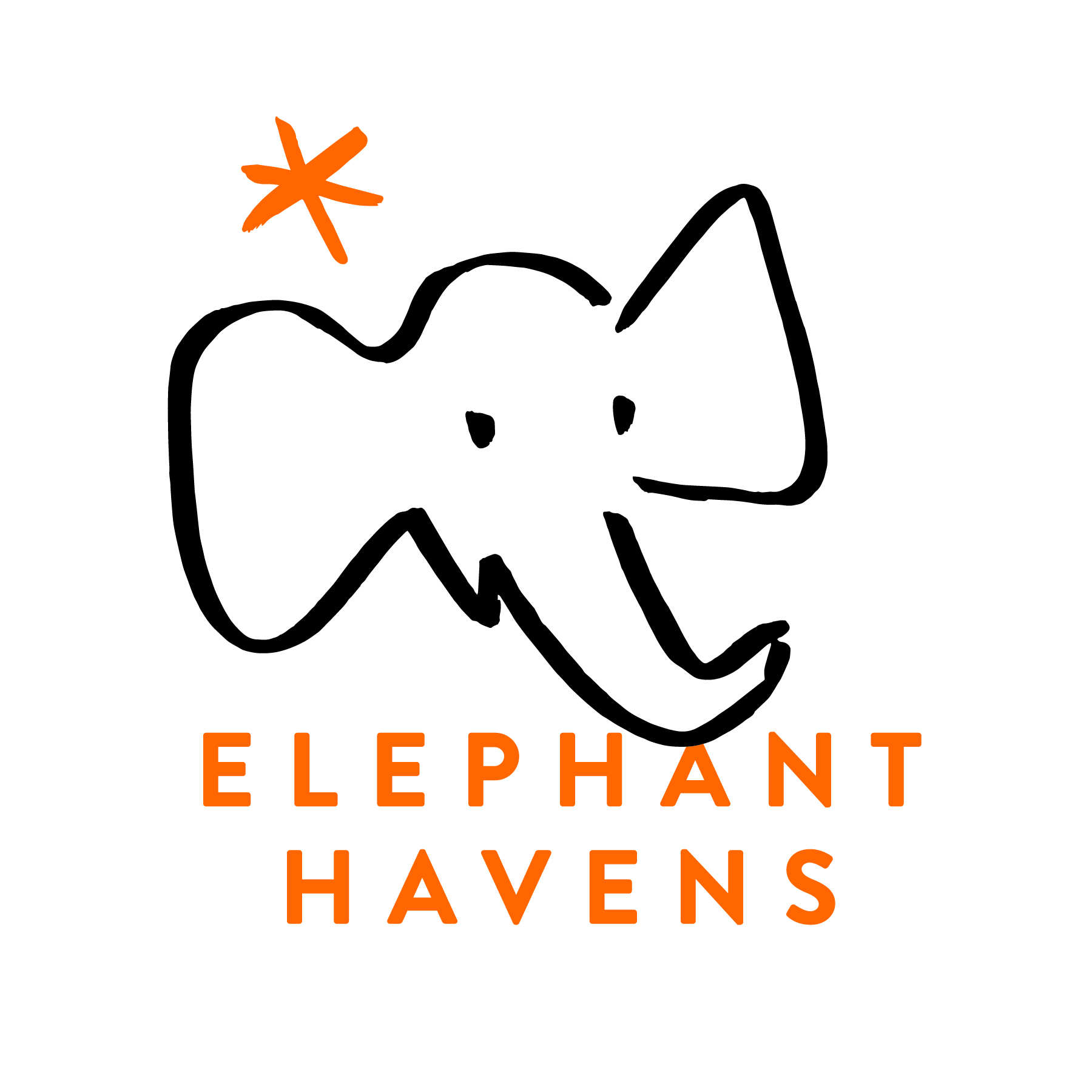 Elephant Havens – Part 1 – The Carefree Photographer